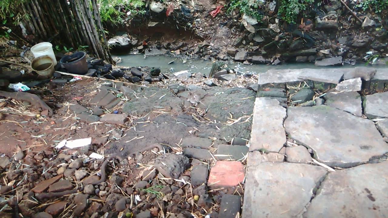 Ada Tikus Hamil di Halte - YouTube