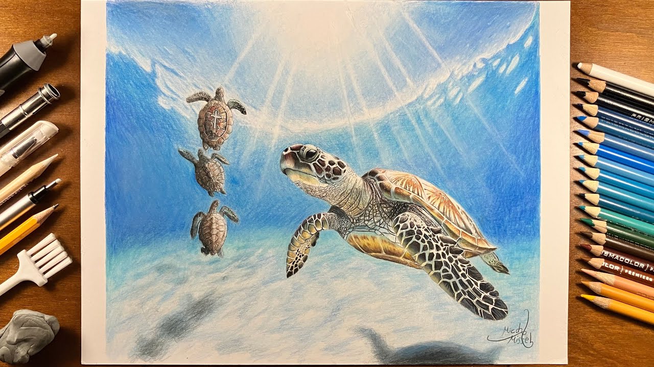 Drawing A Sea Turtle In The Ocean 🌊 🐢 | The Pencil Guy - YouTube
