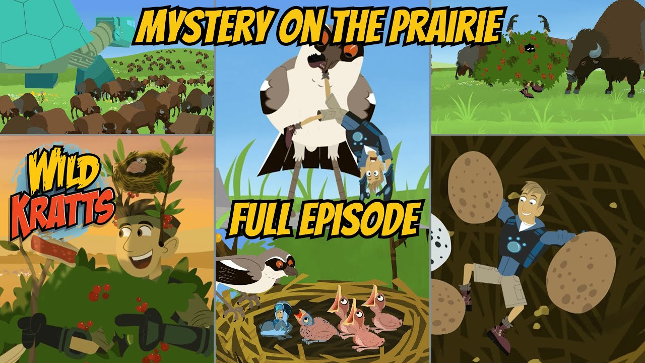 Wild Kratts S03E10 - Mystery on the Prairie (Full Episode) - YouTube