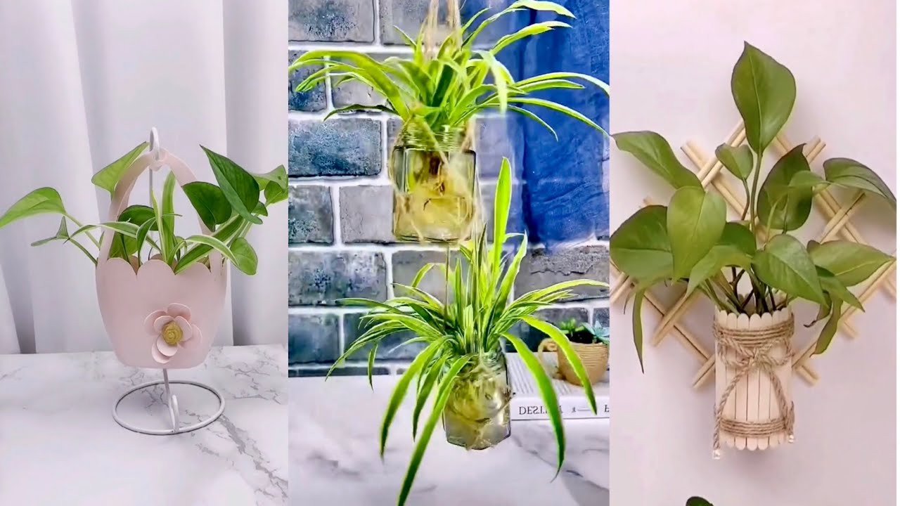 Plastic bottles and glass bottles waste to make flowers pot-Trillions ...