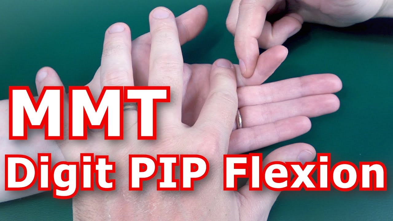 Manual Muscle Testing (MMT) - Digit PIP Flexion - YouTube