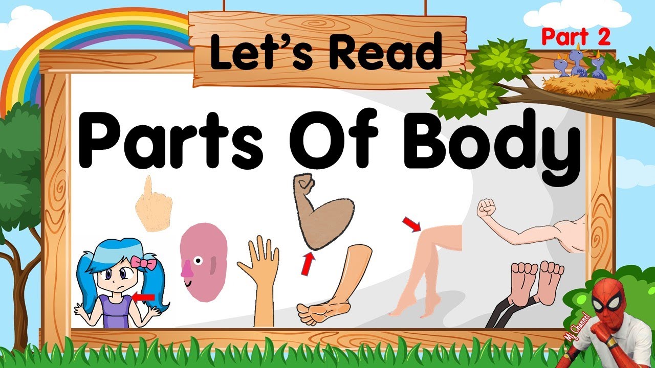 Let's Read | Part Of Body | Preschool (part 2) - YouTube
