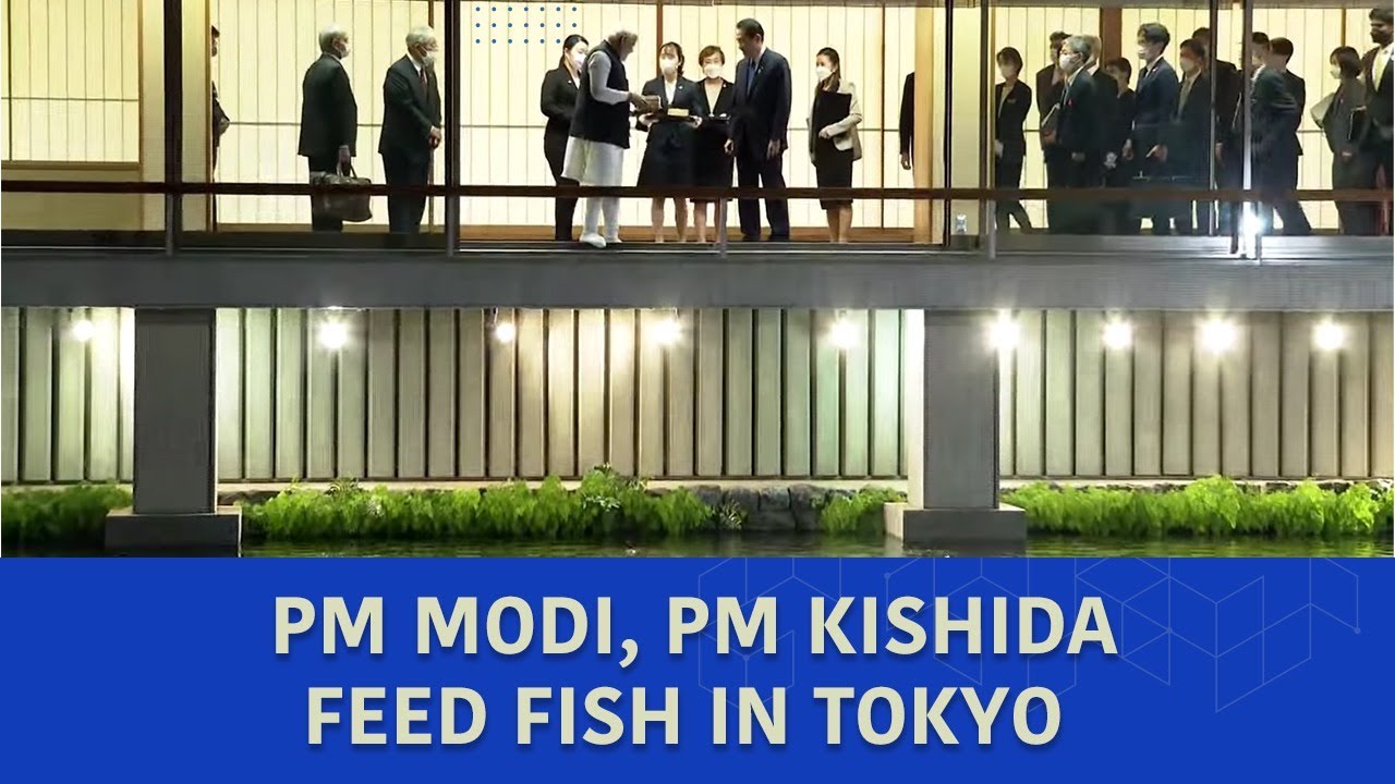 PM Modi, PM Kishida feed fish in Tokyo | PMO - YouTube