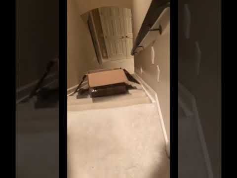 CAT SLIDING DOWN STAIRS IN A BOX 🤣 - YouTube