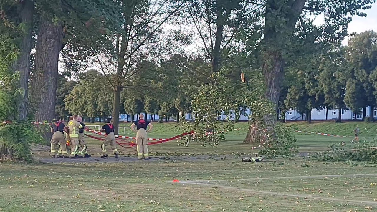 Feuerwehr entfernt Ast von Gehweg auf Poller Wiesen in Köln am 21.08.25 ...