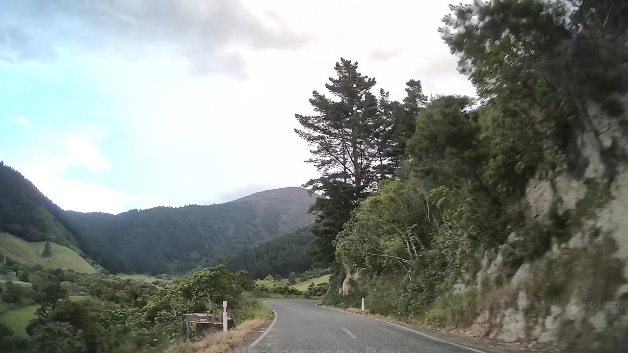 Driving from Waikawa to Whatamango Bay | Marlborough | New Zealand ...