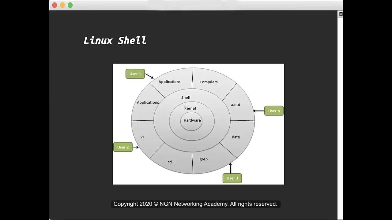 DAY2 Exploring Linux Command Line Tools - YouTube