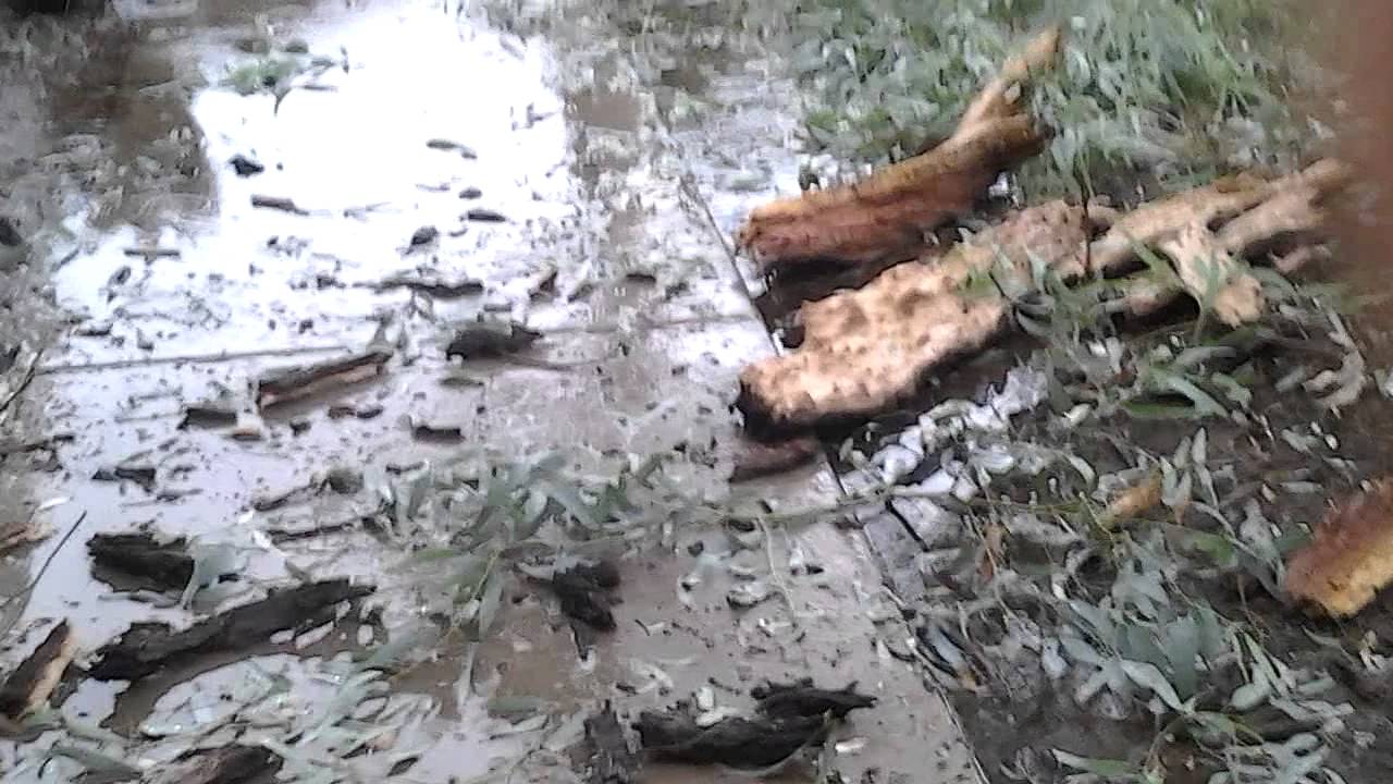 Lightning Strike - Aftermath - YouTube