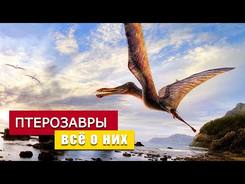 Птерозавры, кто они ?