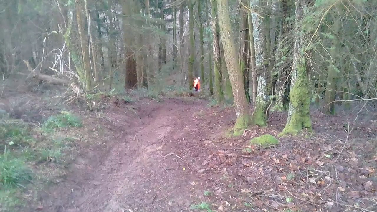 Welsh woods - YouTube