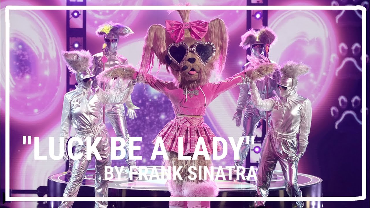 Presentacion de Adelanto | Yorkie canta "Luck be a lady " de frank ...