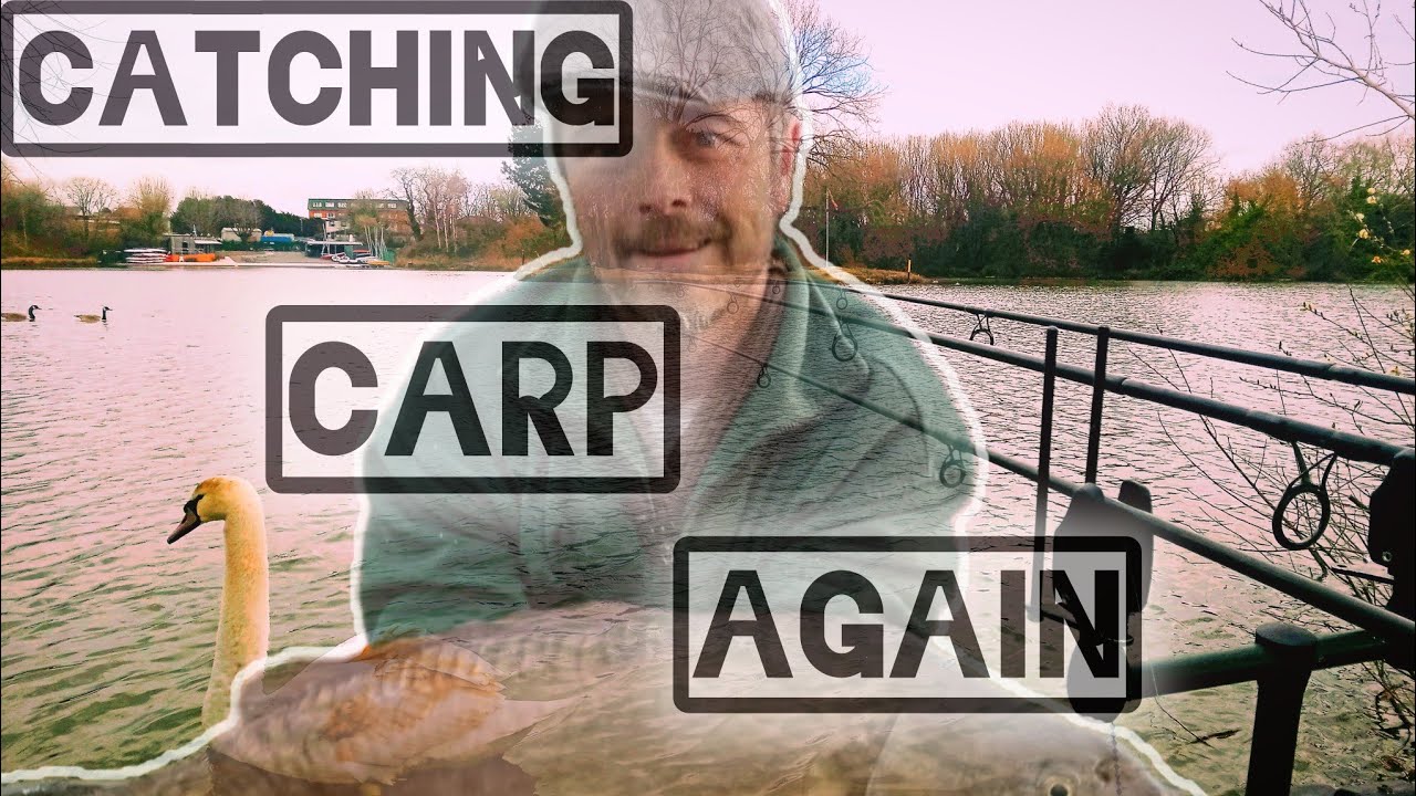 Stunning Two Tone Mirror Carp On the Bank!! Spring Carp Fishing ...