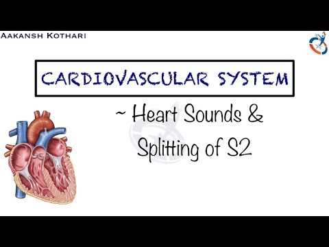 Heart Sounds and Splitting of S2 | Cardiovascular System Physiology by ...