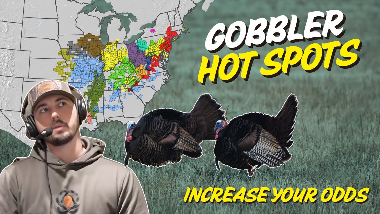 Targeting BROOD MAPS for More Gobblers - YouTube