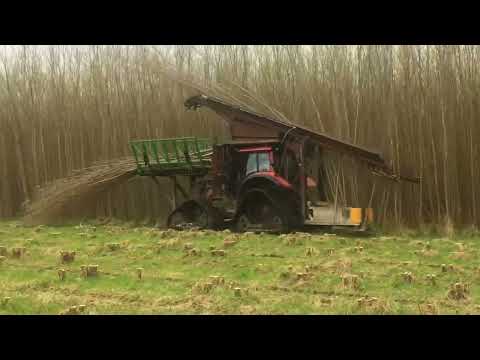 Valtra Whole stem willow harvester Salix Coppicing