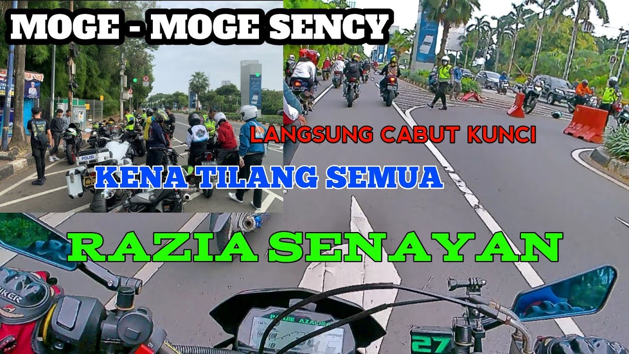 BUBAR‼️RAZIA SENCY || MOGE KENA TILANG #V155 - YouTube