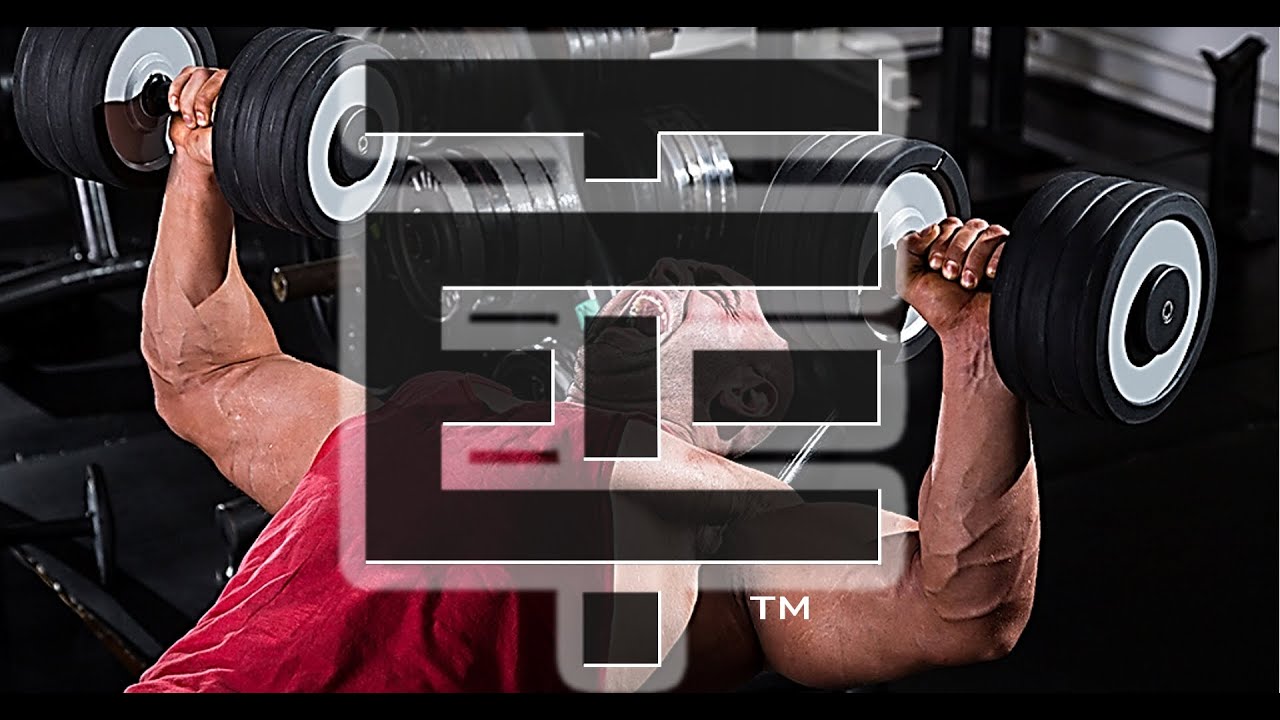 EL TEMACH - FRASES DE MOTIVACIÓN Y REFLEXIÓN. Modo Guerra-Compas de ...