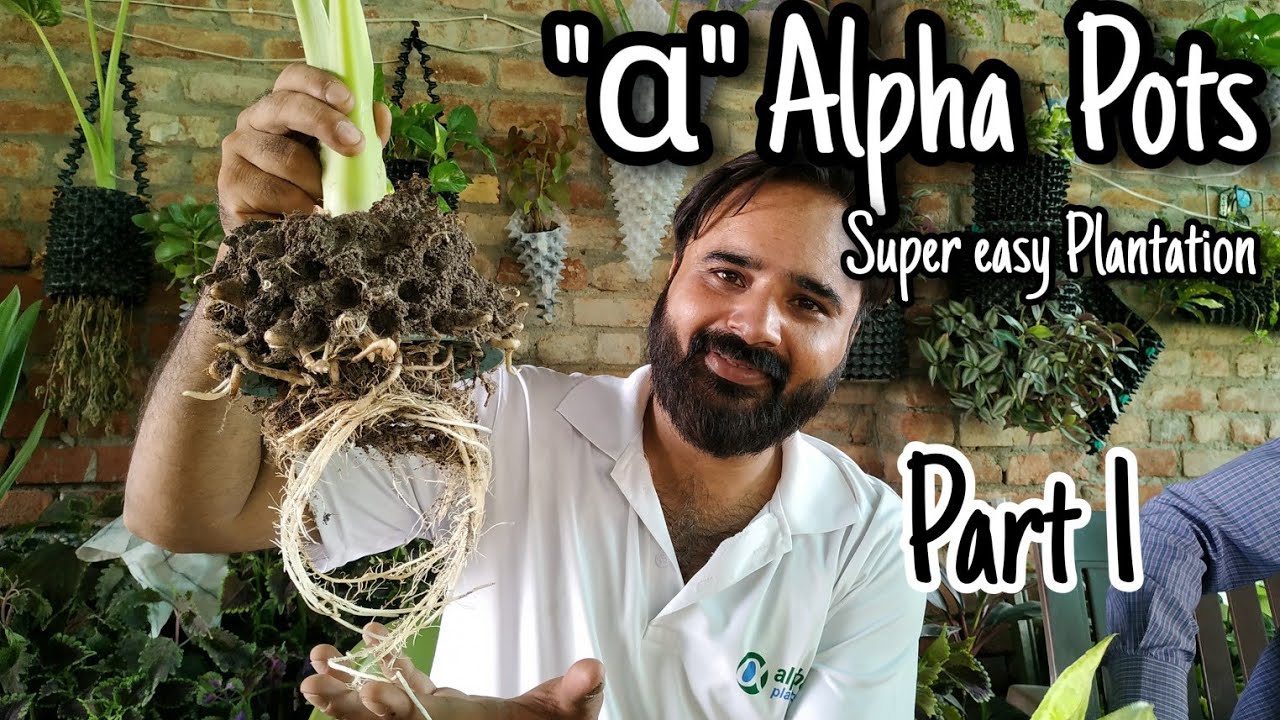 Alpha Pots #1- Never seen before plantation technique | Kamal Sehgal ...