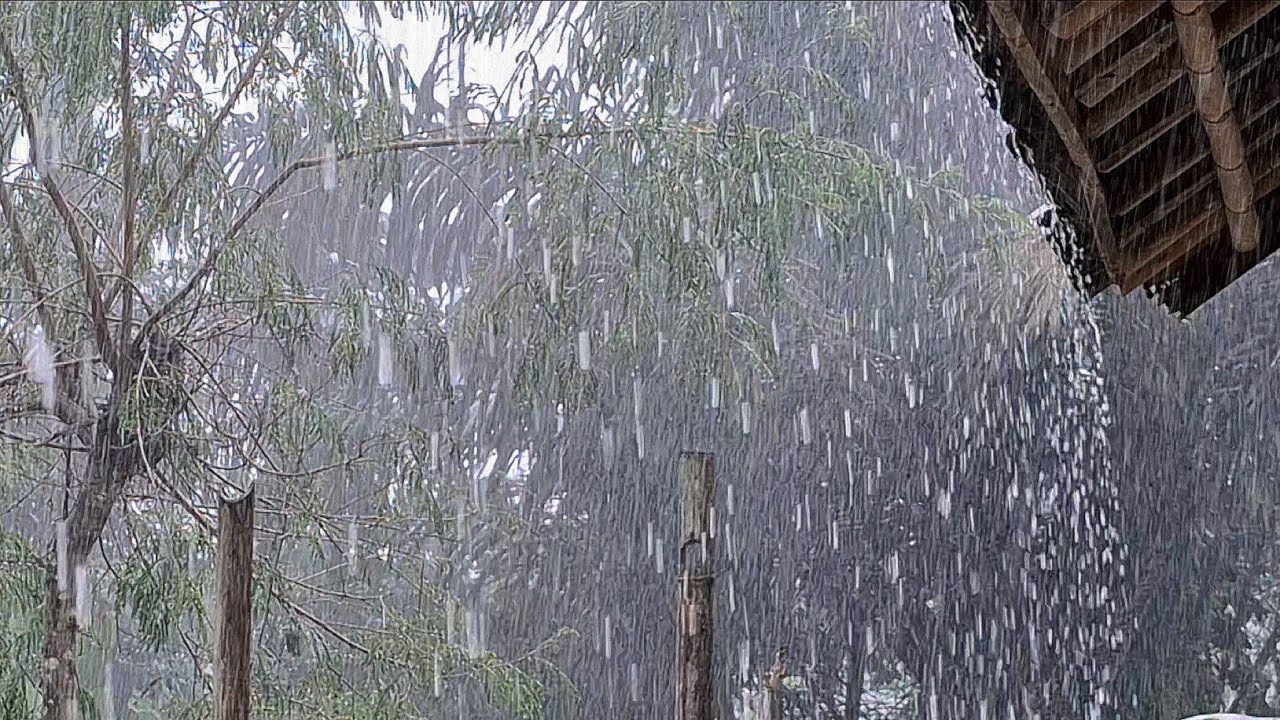 Not Just Any Rain: These Are the Most Sought-After Rain Sounds to ...