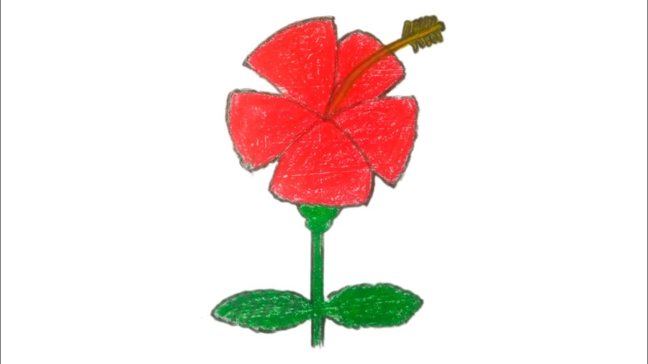 Hibiscus Flower Drawing ||How to draw a Hibiscus flower step by step ...