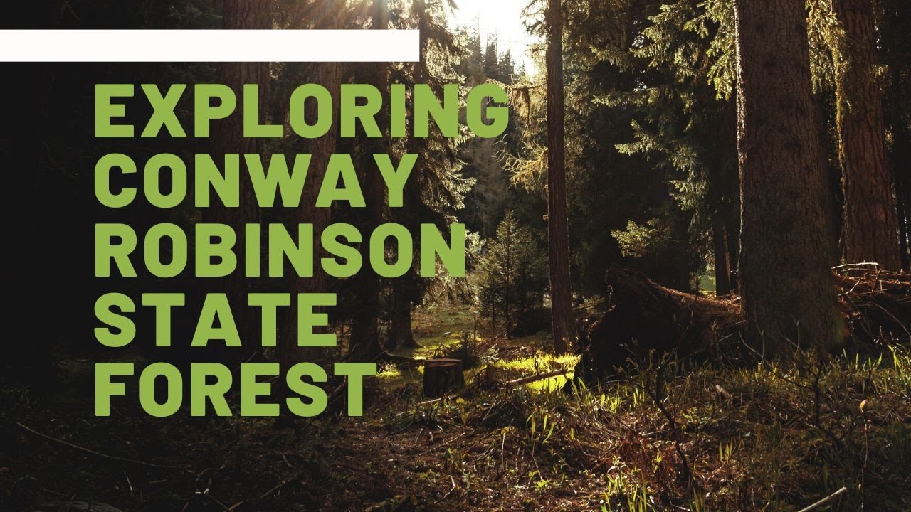 Preview hike of Conway Robinson State Forest VA - YouTube