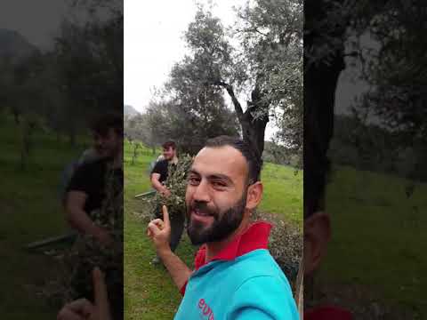 Tenekede tavuk nasıl yapılmaz:(