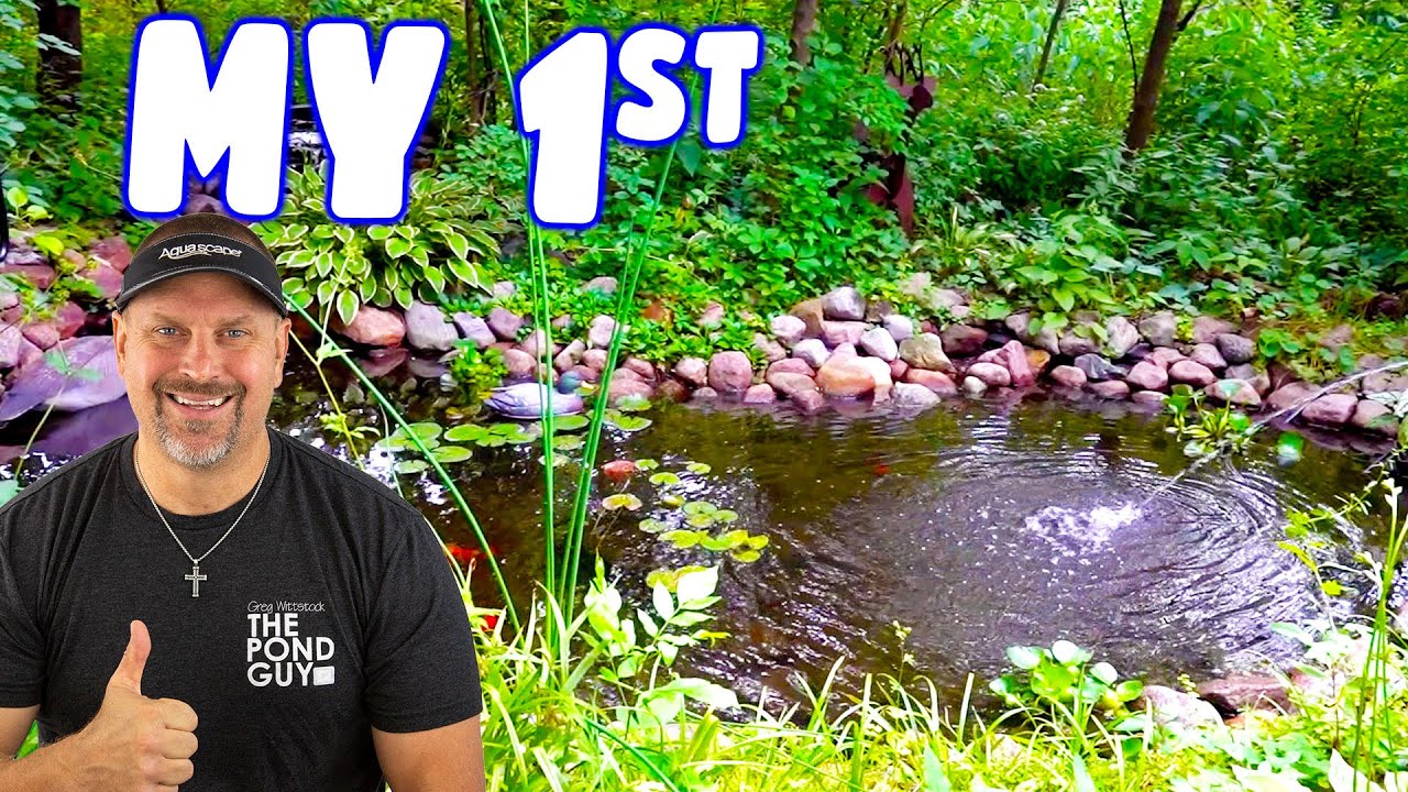 See One of the FIRST PONDS I Ever Built!! - YouTube