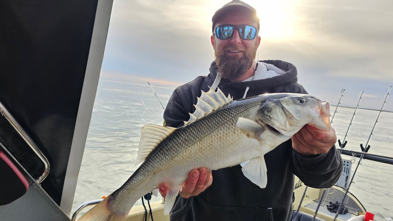 mixed clips from this year - uk bass fishing - YouTube