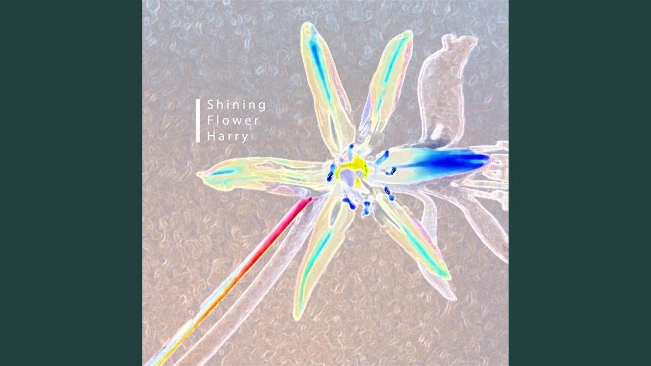 Shining Flower - YouTube