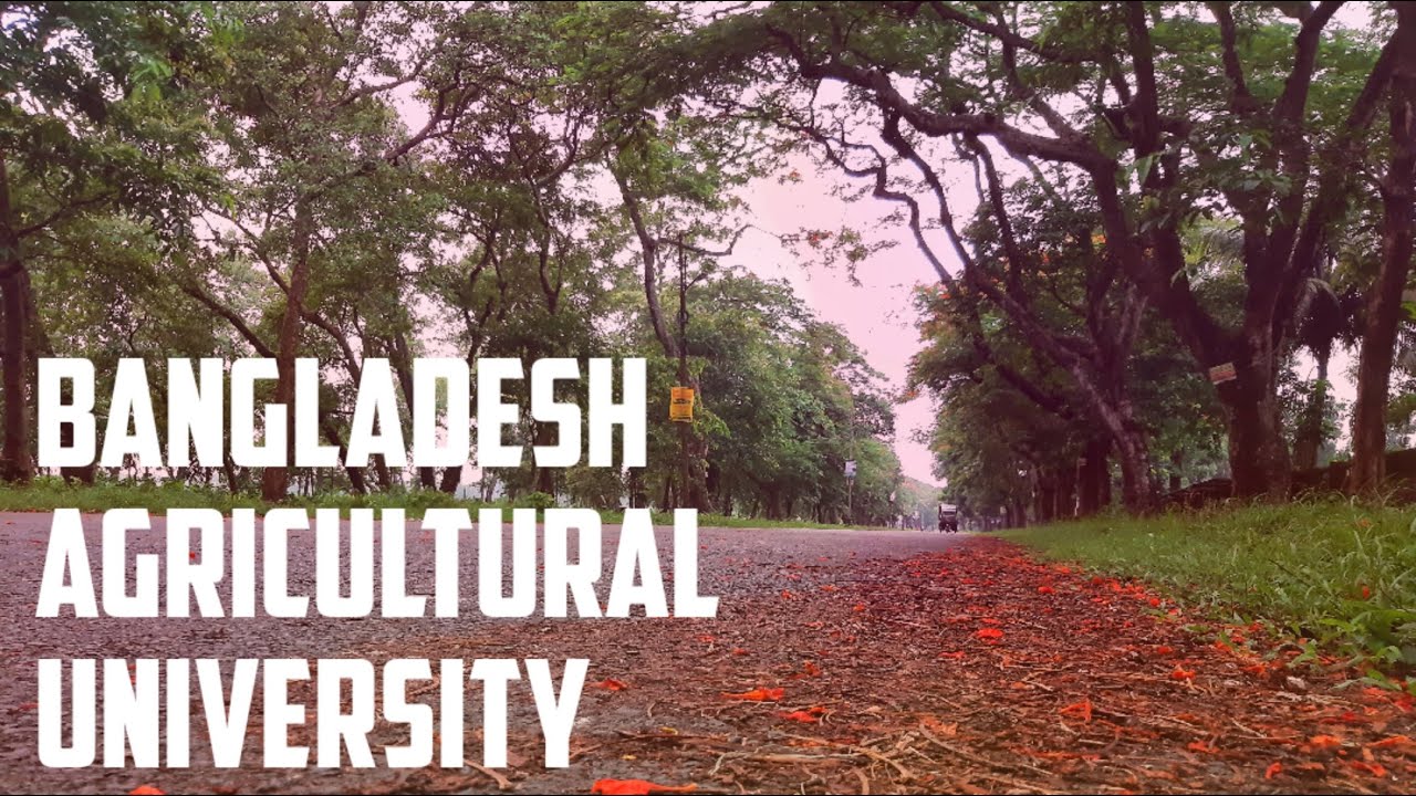 Beauty of Bangladesh| Bangladesh Agricultural University, Mymensingh ...