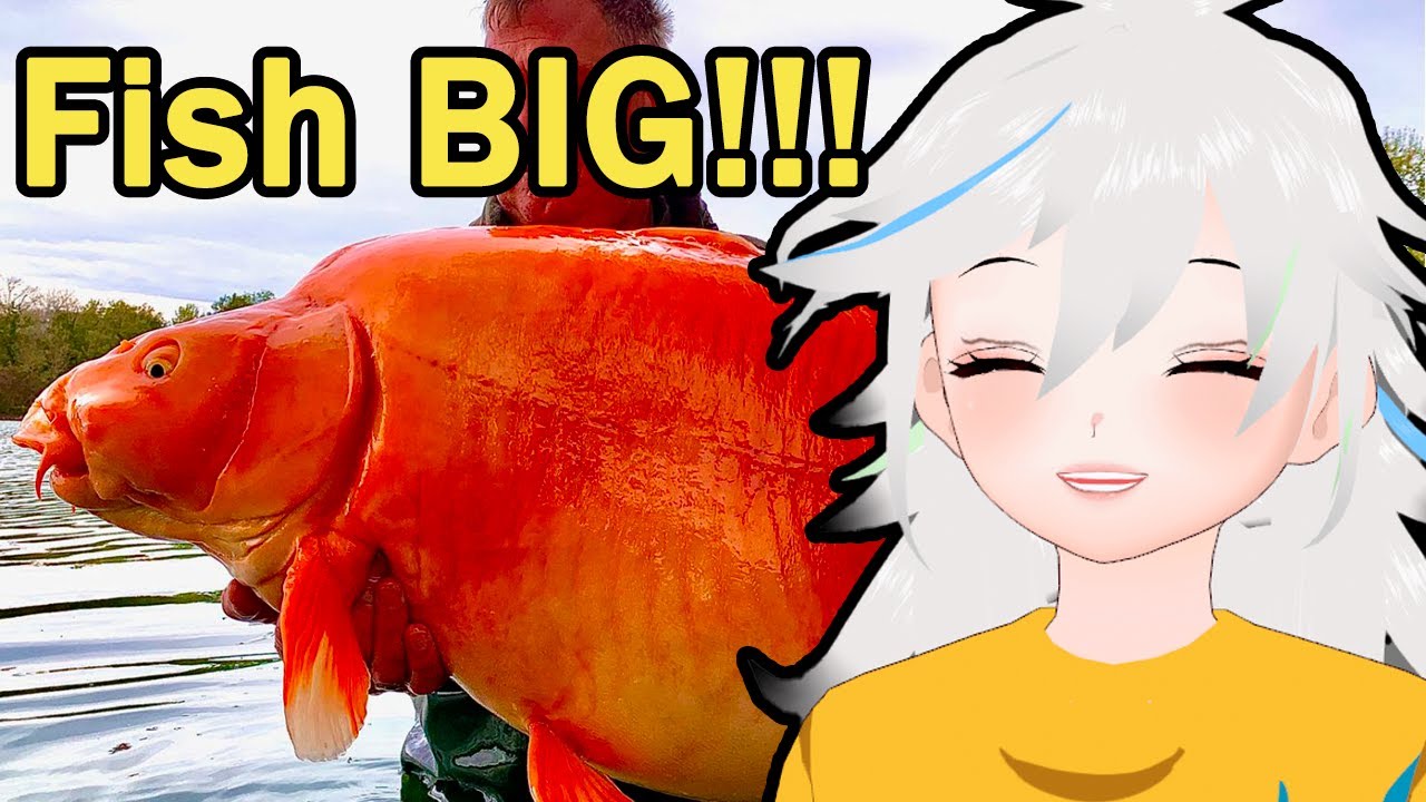 Why Does This Vtuber Love Big Fish? - YouTube