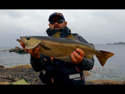 Shore Jigging for Pollock - YouTube
