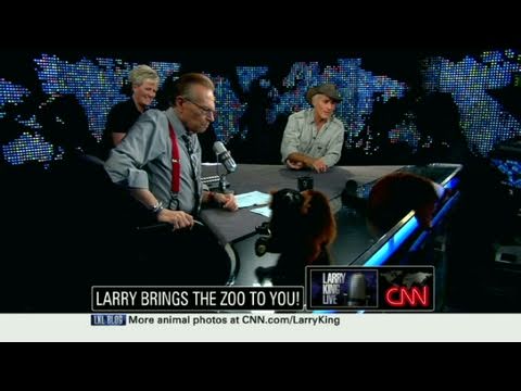 CNN: Larry King meets Larry Lemur - YouTube