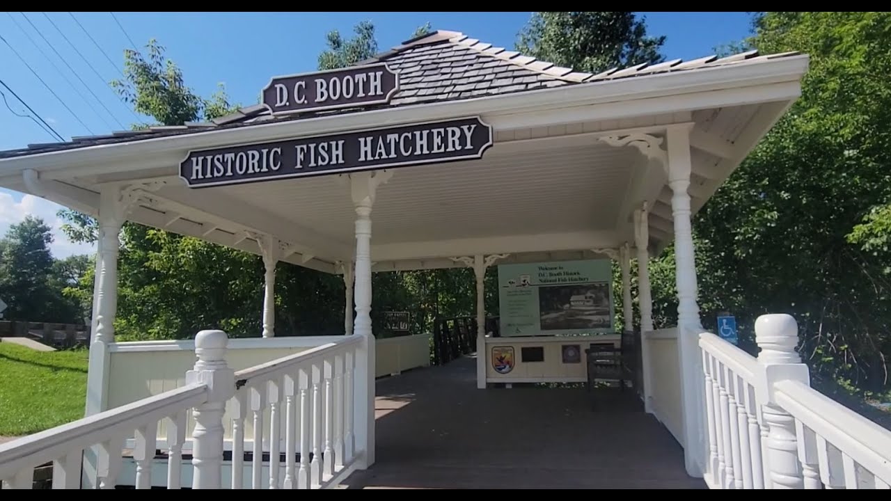 DC Booth Historic Fish Hatchery Tour...Thousands of Fish! - YouTube
