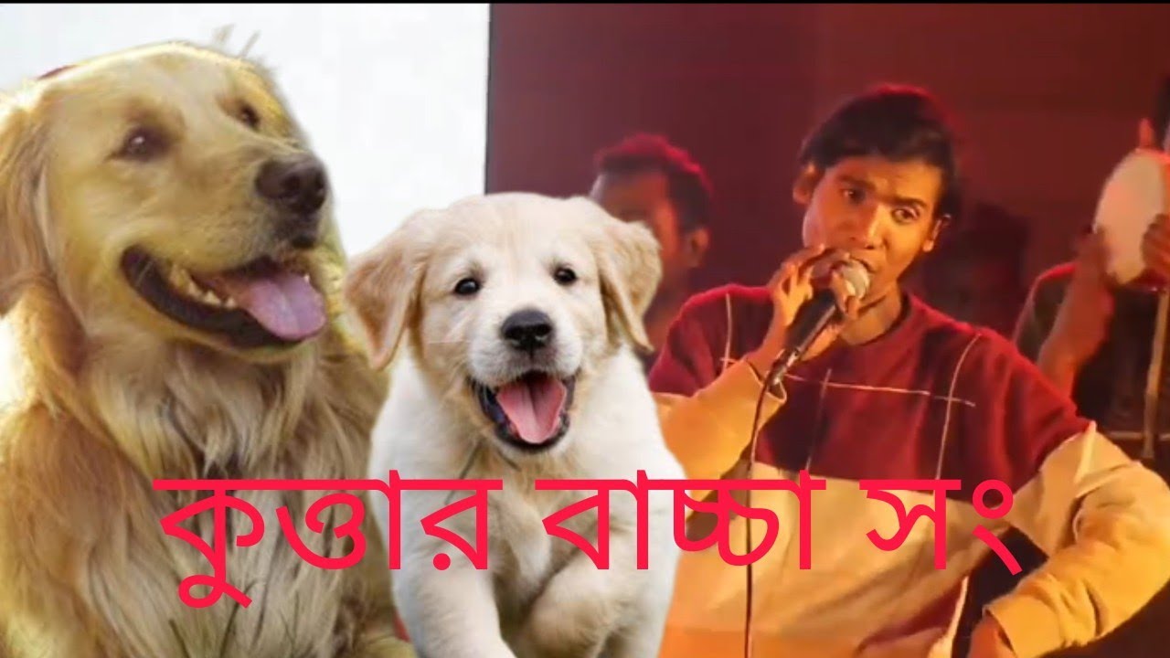 কুত্তার বাচ্চা ফুটফুটে সুন্দর নিউ সং ২০২৩ Kuttar Bacha Foot Foote ...