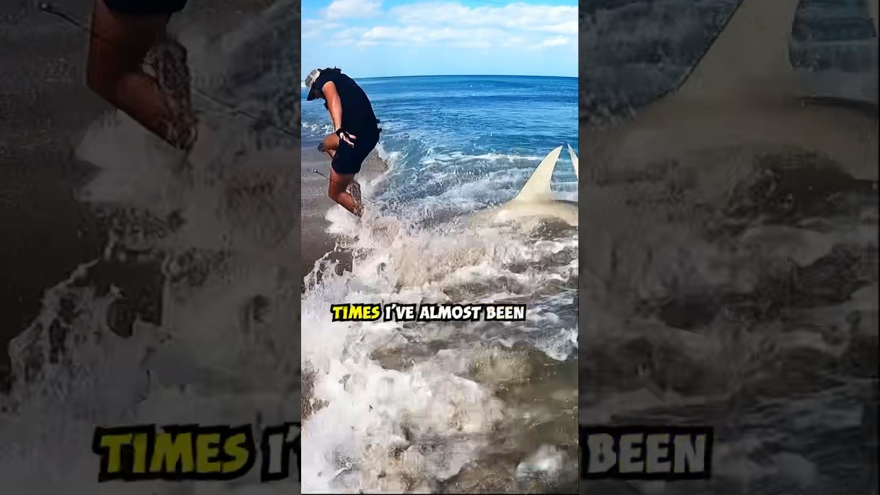 Shark Tries To BITE My Toe Off #shorts - YouTube