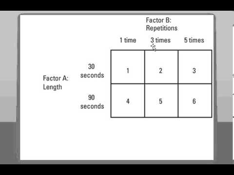 Factors and Levels - YouTube