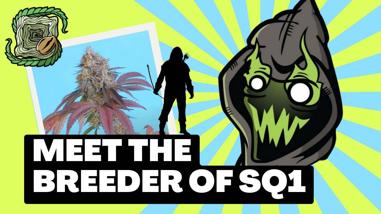 Wanna Know Who's Behind Square 1 Genetics & Robin Hood Seeds? Meet ...