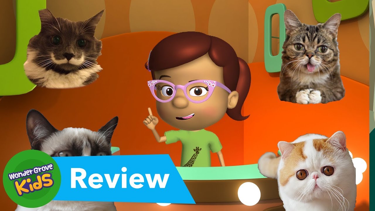 Cat Chat Presents: Maru, Grumpy Cat, and Colonel Meow S6 E5 - YouTube