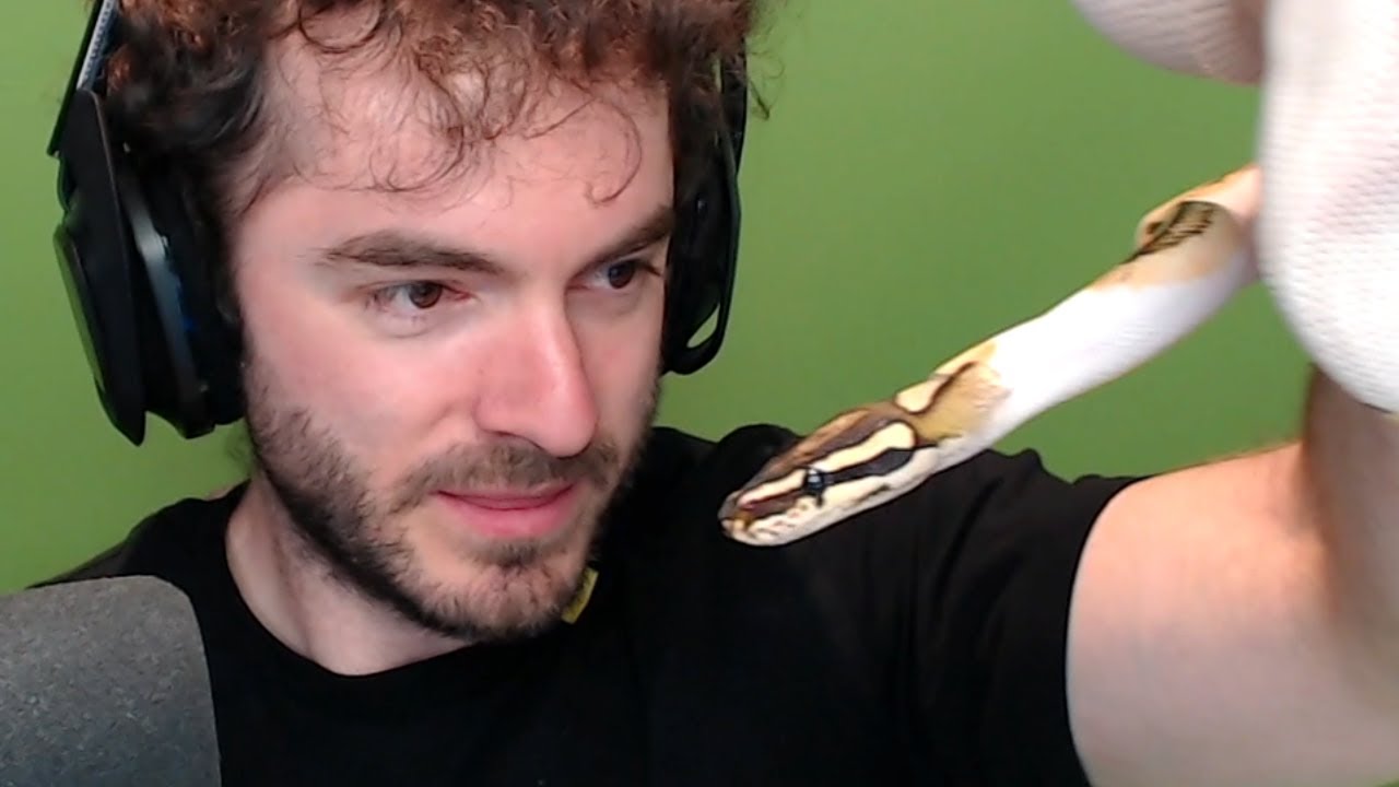 Man Vs. Snake - YouTube