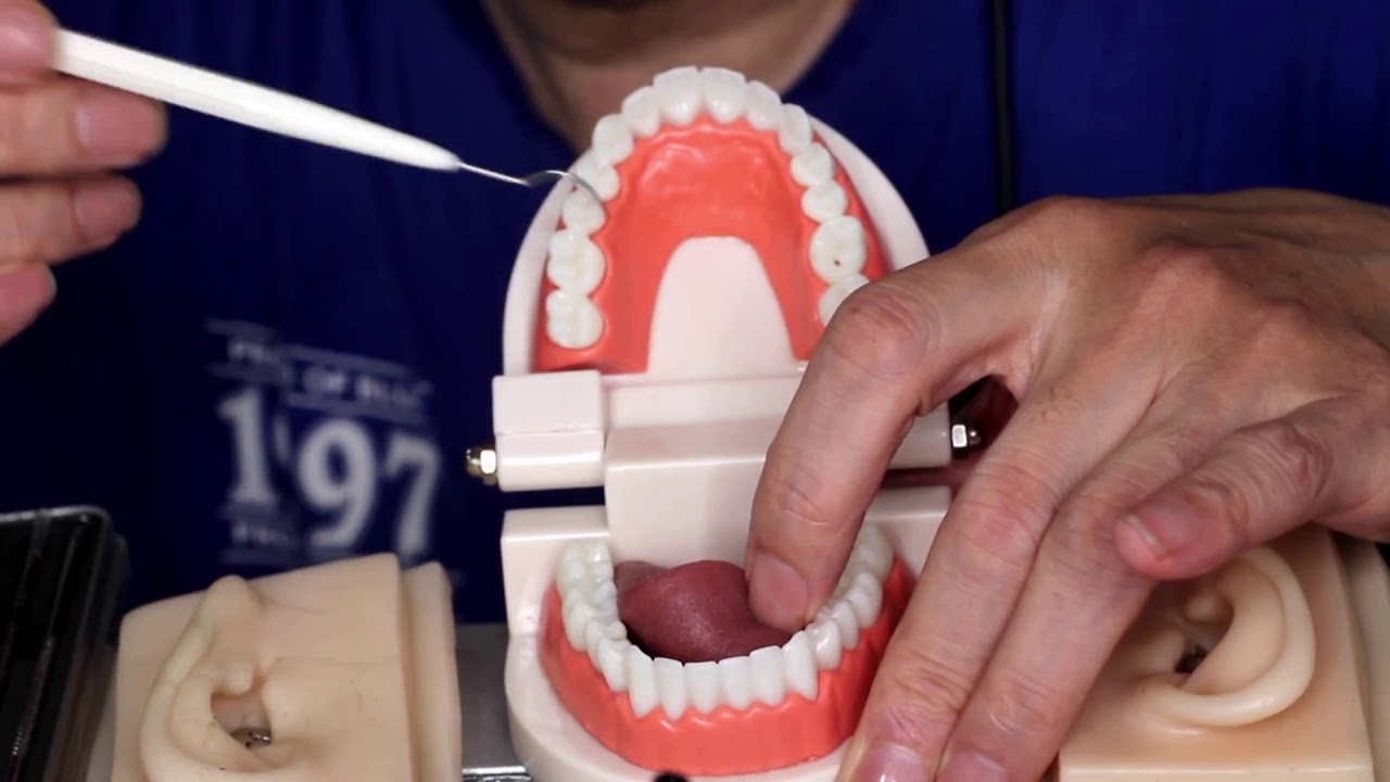 ASMR Teeth Tapping & Ears & Tongue 歯の音とベロと耳【音フェチ】АСМР - YouTube