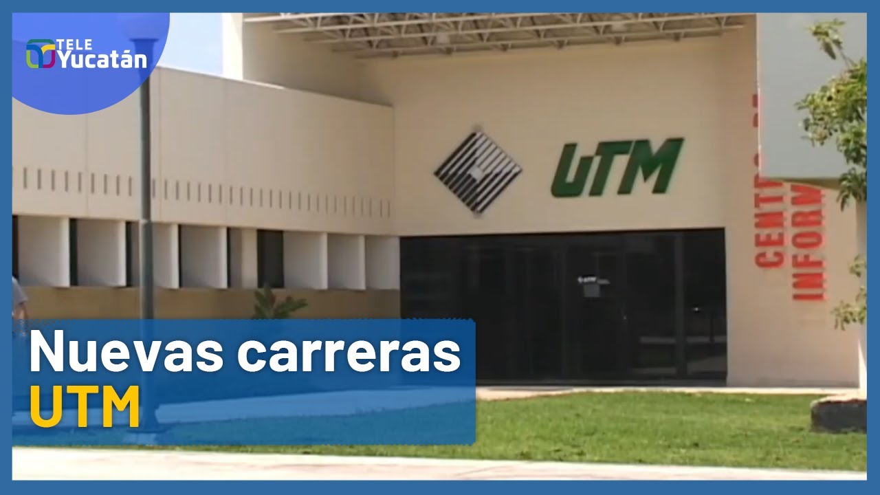 ¿Buscas que estudiar? La UTM ofrece dos nuevas carreras | TELE Yucatán ...