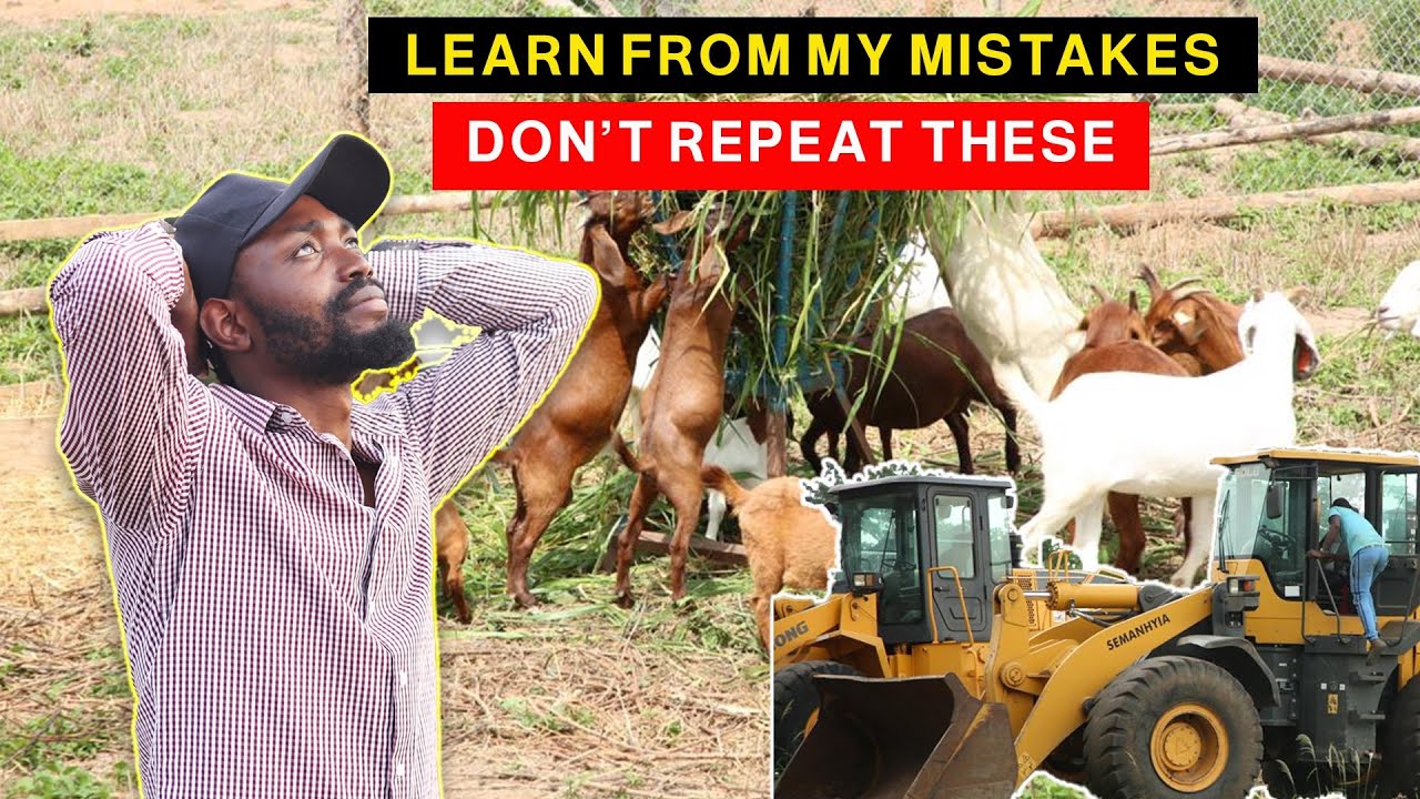 3 BIGGEST MISTAKES I MADE AS A FARMER IN AFRICA - YouTube