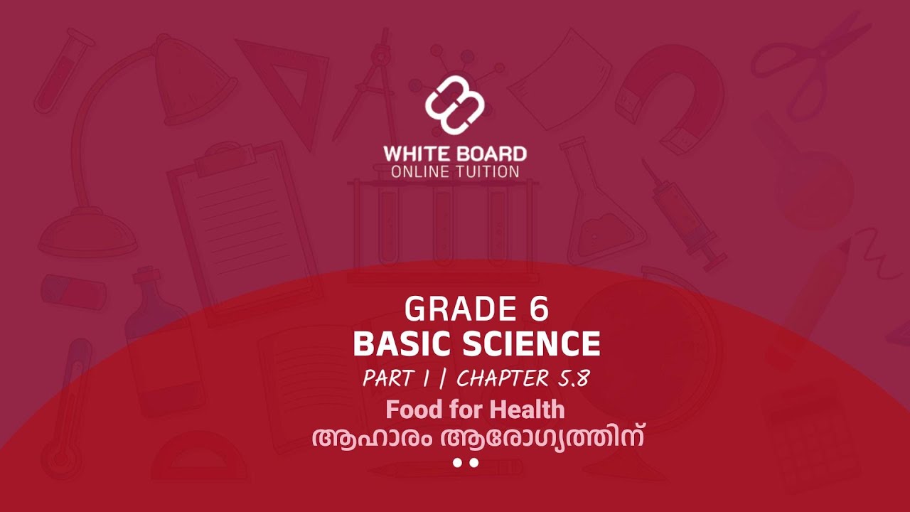 GRADE 6 BASIC SCIENCE | Chapter 5.8 | Food for Health - YouTube