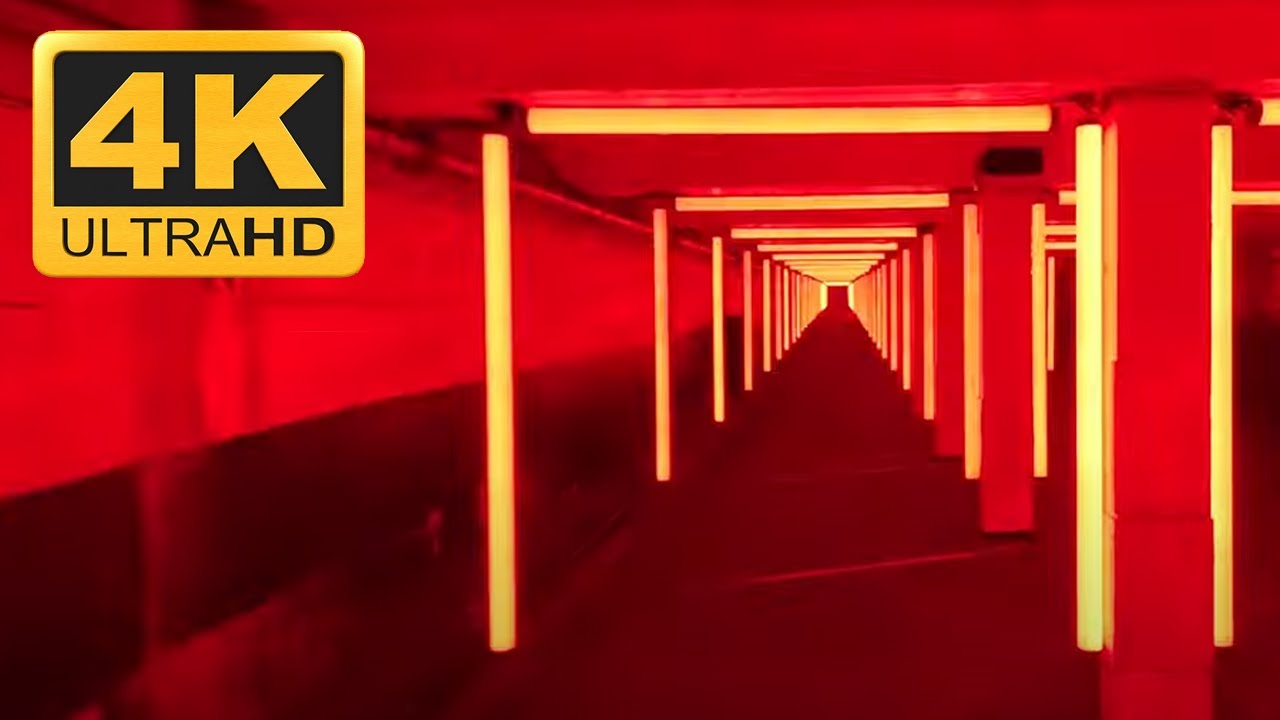2024 | Walking around Dark Spectrum: A New Journey | Wynyard Tunnels ...