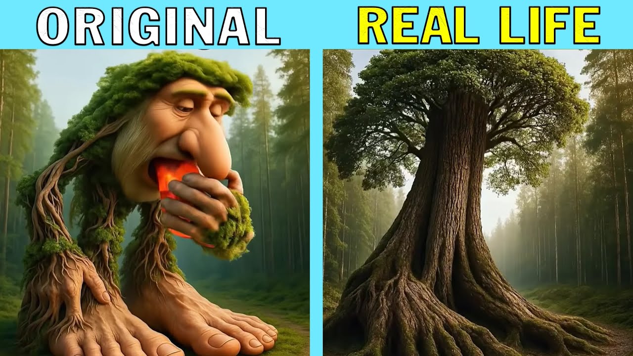 Brainrot Memes when it all Ended | Brainrot Original vs Real life ...