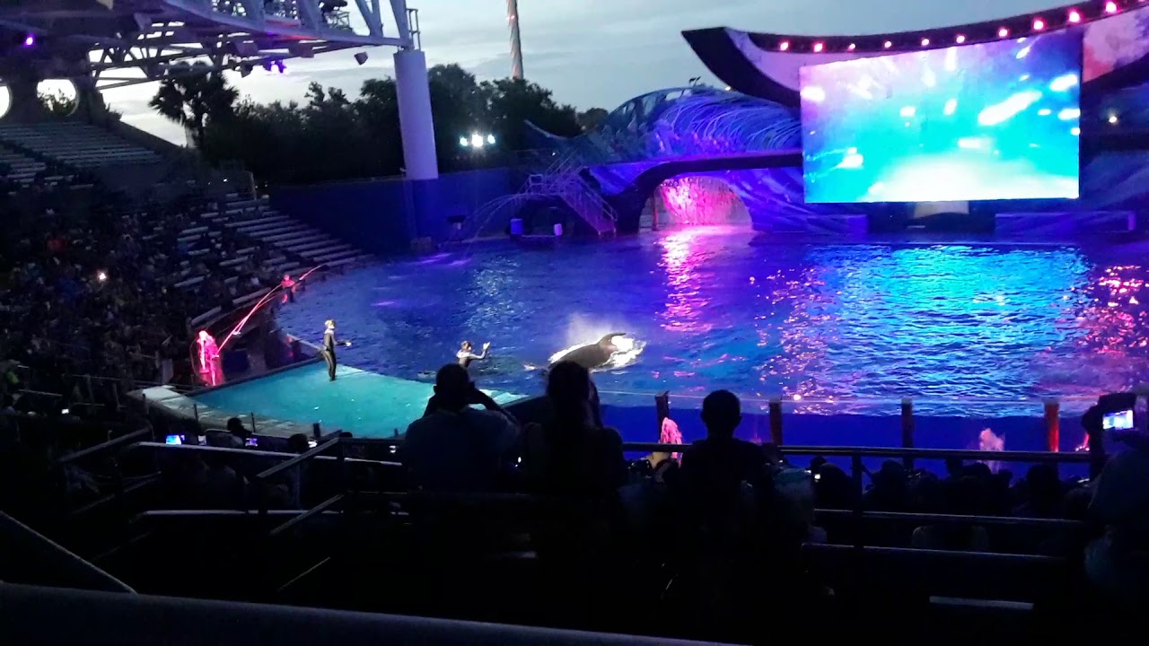 Seaworld electric ocean 2019 - YouTube