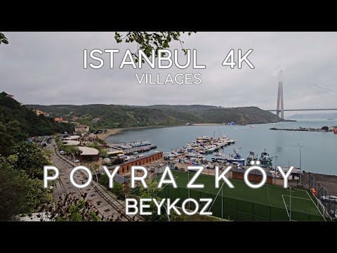 Istanbul 4K Drive & Walk in Poyrazköy Village in Beykoz Driving & Walking Tour Sightseeing Video