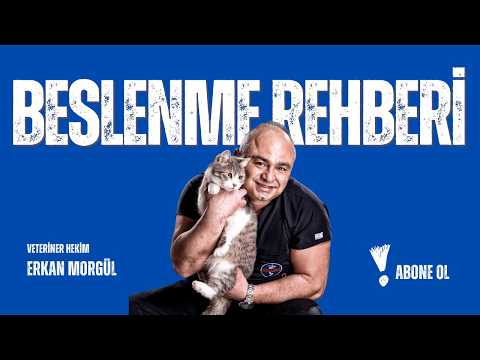 Kuru Mama Gerçekten Sağlıklı mı? Doğru Beslenme Rehberi - Veteriner Hekim Erkan Morgül