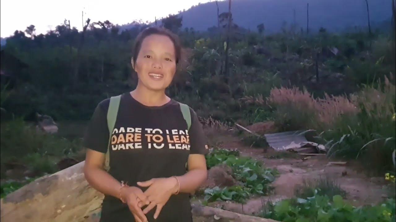 tu txiv tsev wb mu de zaub thiab ywg zaub - YouTube